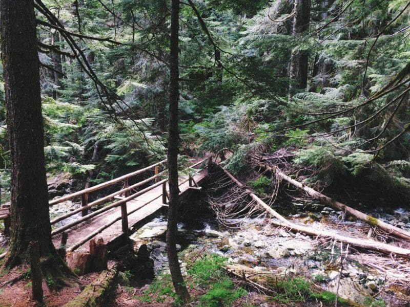 Brothers Creek Loop Hike in BC, Canada | Jana Meerman