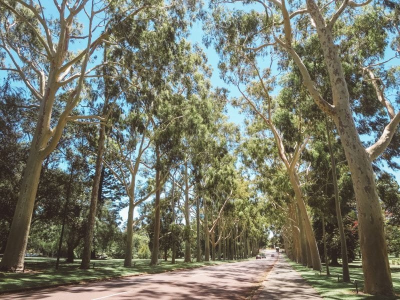A Complete Guide to Perth, Australia | Jana Meerman