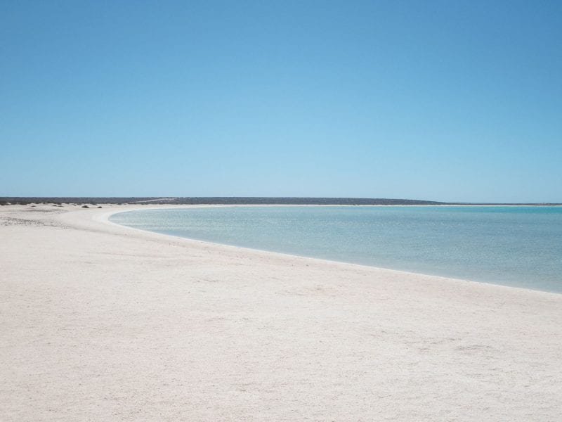 1 Week Perth to Exmouth Roadtrip in Australia | Jana Meerman