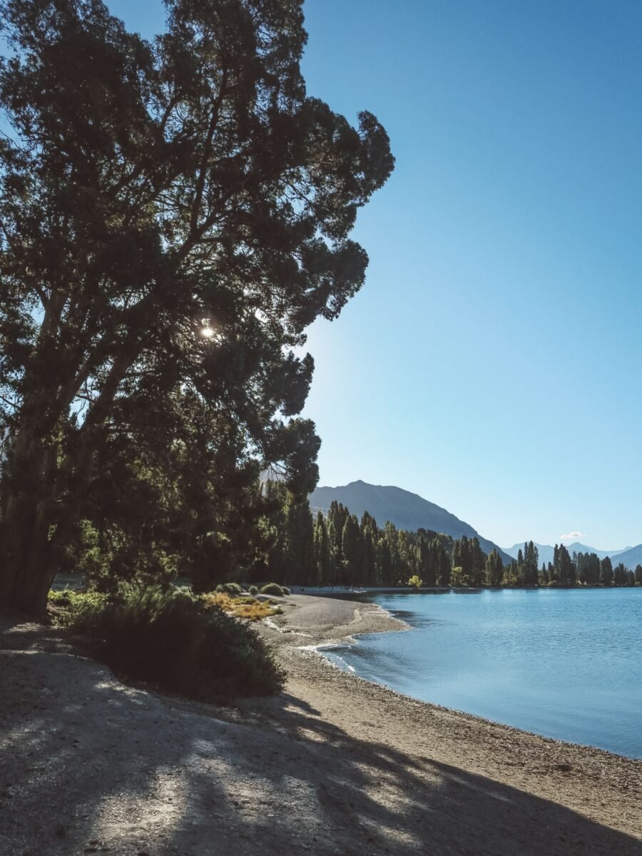 jana meerman lake wanaka that wanaka tree (1) | Jana Meerman