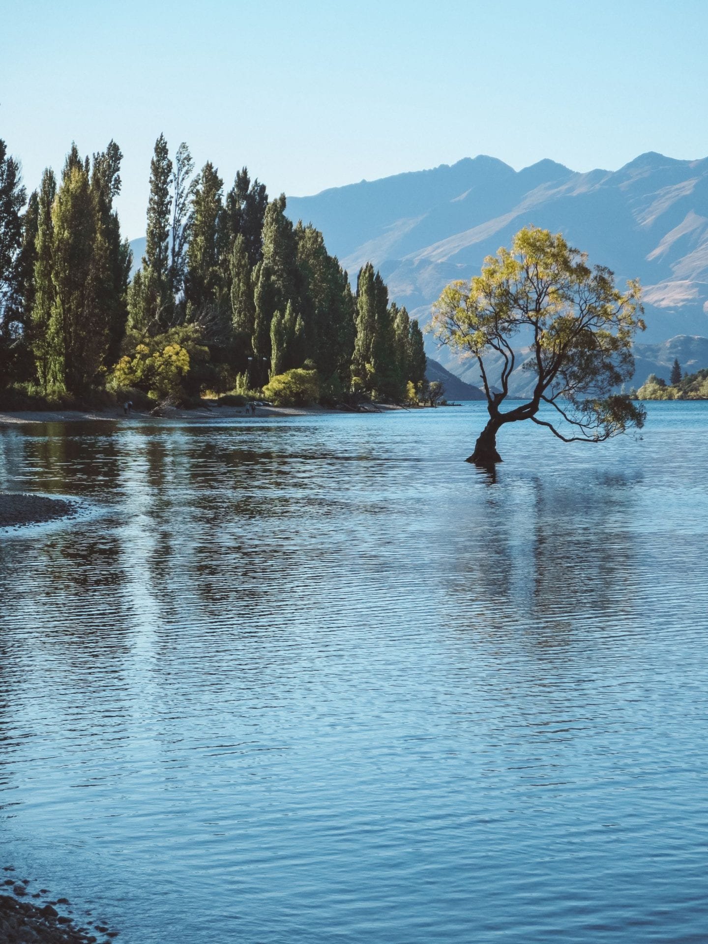 How to Spend a Week in Wanaka, New Zealand | Jana Meerman