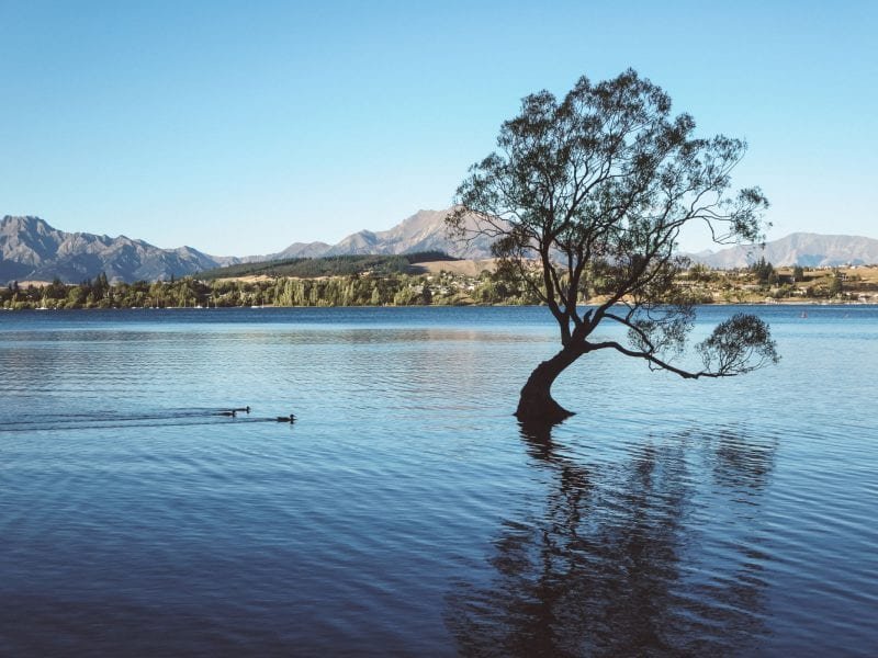 How to Spend a Week in Wanaka, New Zealand | Jana Meerman