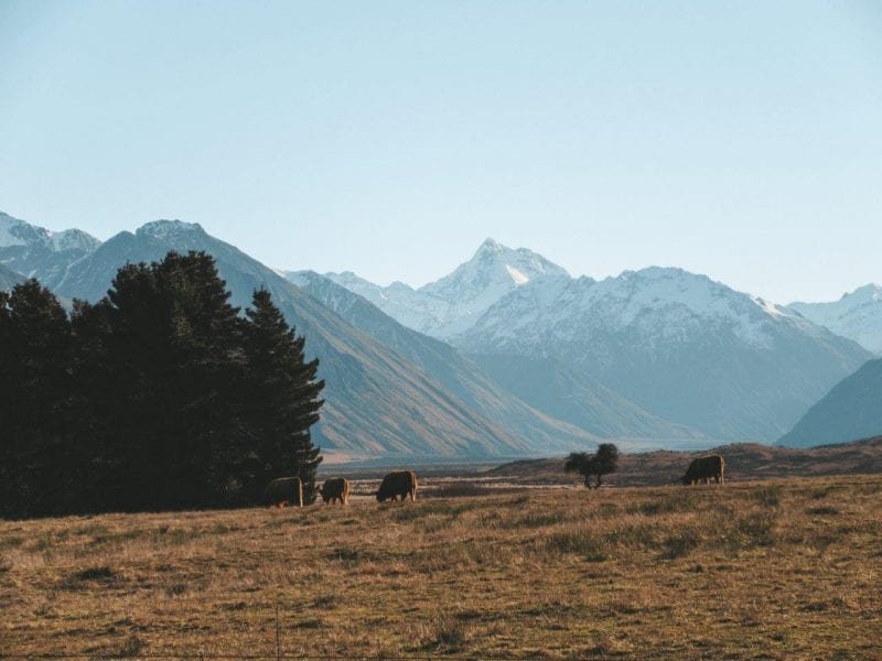 A Guide to Mount Sunday, New Zealand | Jana Meerman