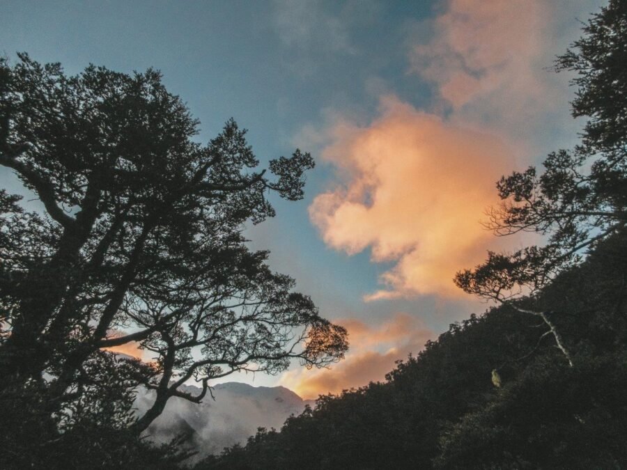 A Guide to Arthur's Pass National Park, New Zealand | Jana Meerman