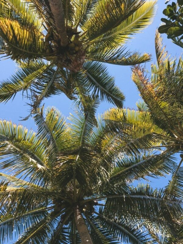 A Guide to Nacula Island in the Yasawa Islands, Fiji | Jana Meerman