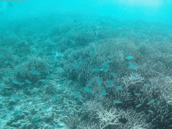 A Guide to Nacula Island in the Yasawa Islands, Fiji | Jana Meerman