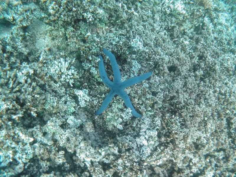 A Guide to Nacula Island in the Yasawa Islands, Fiji | Jana Meerman