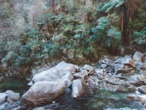 Wainui Falls Hike in Abel Tasman National Park, New Zealand | Jana Meerman