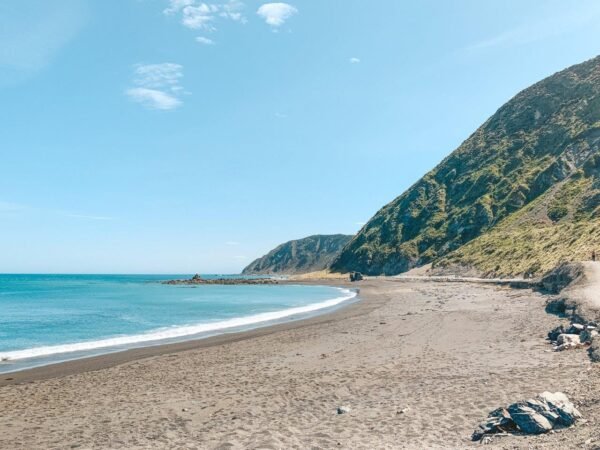 Red Rocks Reserve Hike in Wellington, New Zealand | Jana Meerman