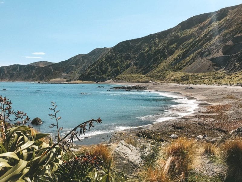 Red Rocks Reserve Hike in Wellington, New Zealand | Jana Meerman