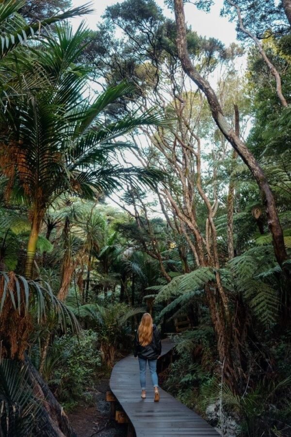 Kitekite Falls Hike in Piha, New Zealand | Jana Meerman