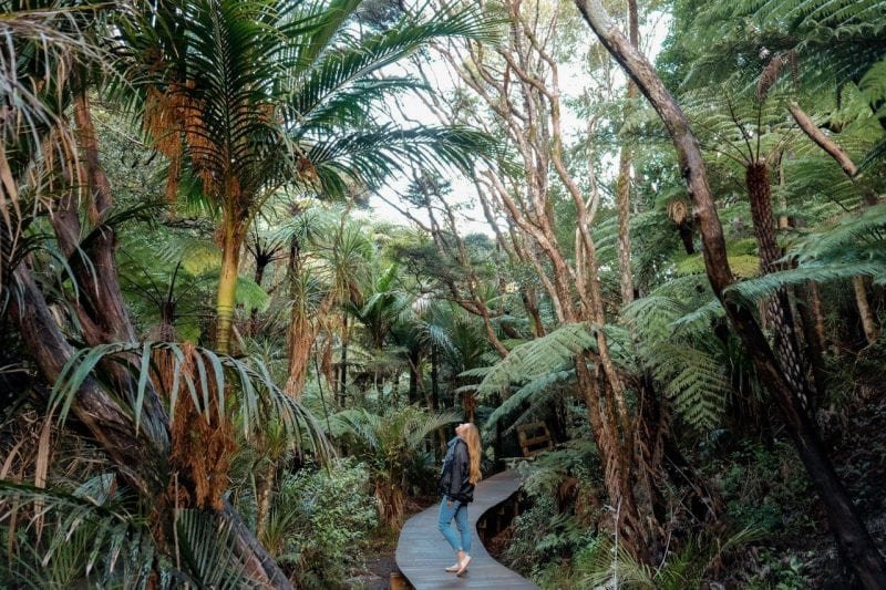 Kitekite Falls Hike in Piha, New Zealand | Jana Meerman