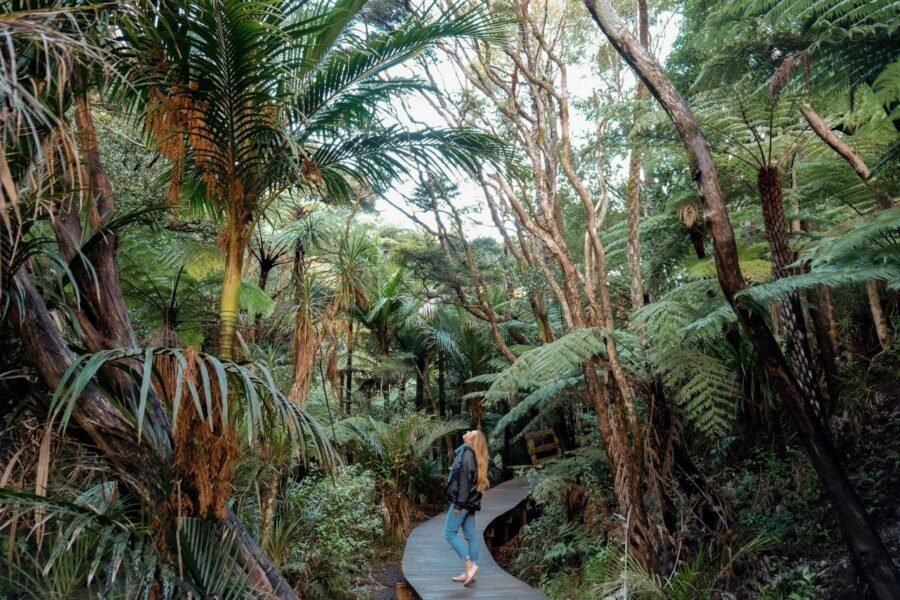 Kitekite Falls Hike in Piha, New Zealand | Jana Meerman
