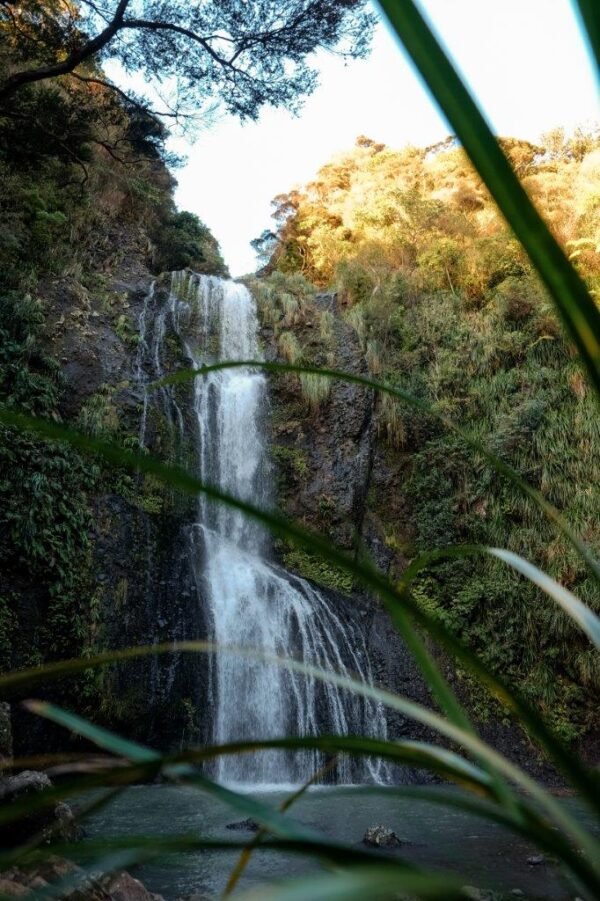 Kitekite Falls Hike in Piha, New Zealand | Jana Meerman
