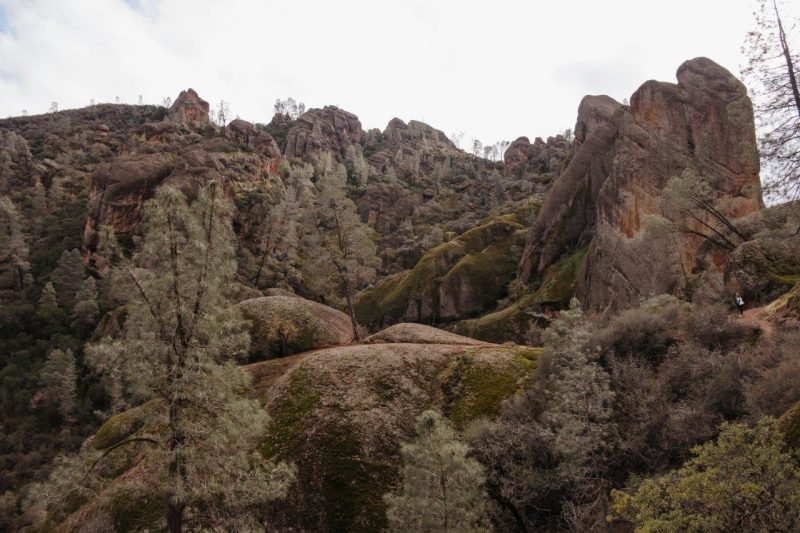 A Guide to Pinnacles National Park in California, USA | Jana Meerman
