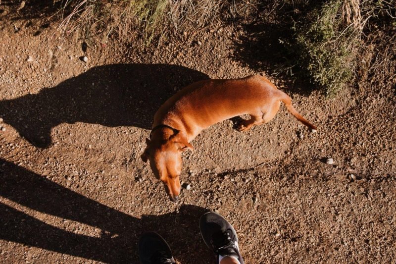 Lion's Head Loop Hike in Cape Town, South Africa | Jana Meerman