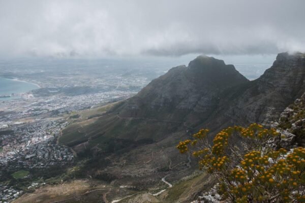 Skeleton Gorge Hike up Table Mountain in Cape Town, South Africa | Jana ...