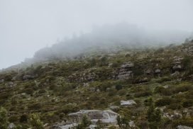 Skeleton Gorge Hike up Table Mountain in Cape Town, South Africa | Jana ...