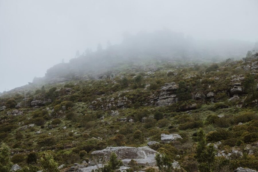 Skeleton Gorge Hike up Table Mountain in Cape Town, South Africa | Jana ...