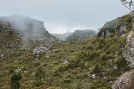 Skeleton Gorge Hike up Table Mountain in Cape Town, South Africa | Jana ...