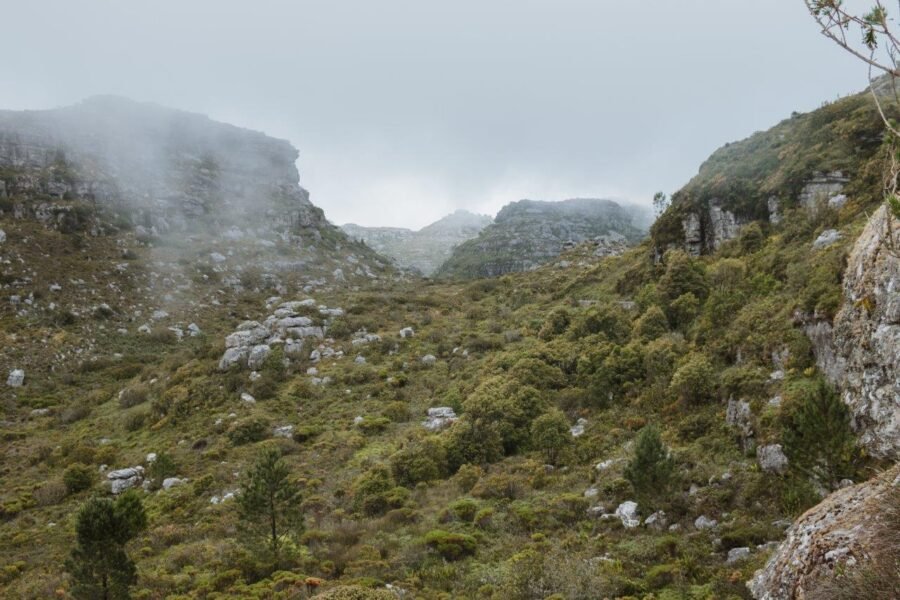 Skeleton Gorge Hike up Table Mountain in Cape Town, South Africa | Jana ...