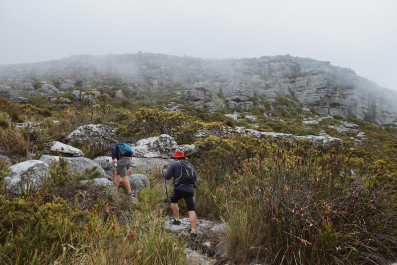 Skeleton Gorge Hike up Table Mountain in Cape Town, South Africa | Jana ...