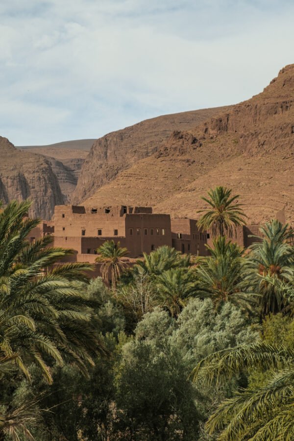 A Guide to Todra Gorge, Morocco | Jana Meerman