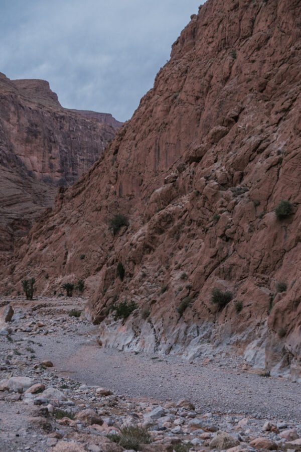 A Guide to Todra Gorge, Morocco | Jana Meerman