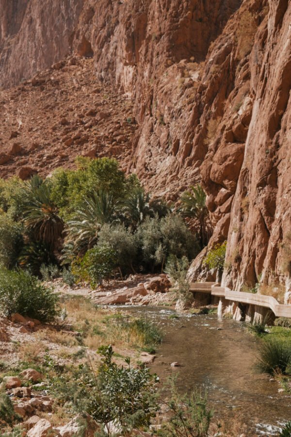 A Guide to Todra Gorge, Morocco | Jana Meerman