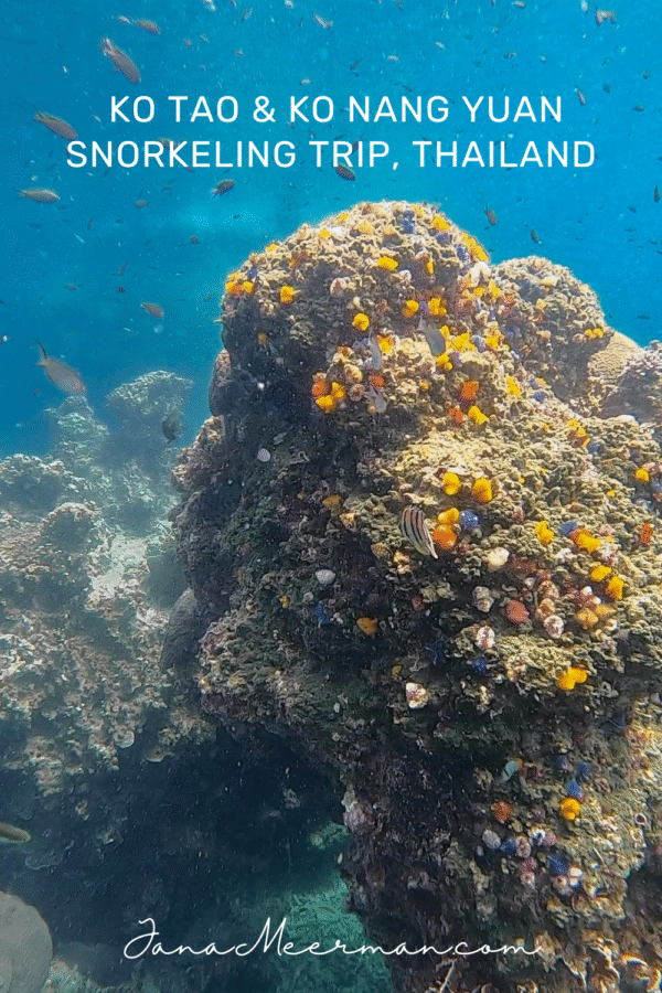 Snorkeling Ko Tao and Ko Nang Yuan, Thailand | Jana Meerman