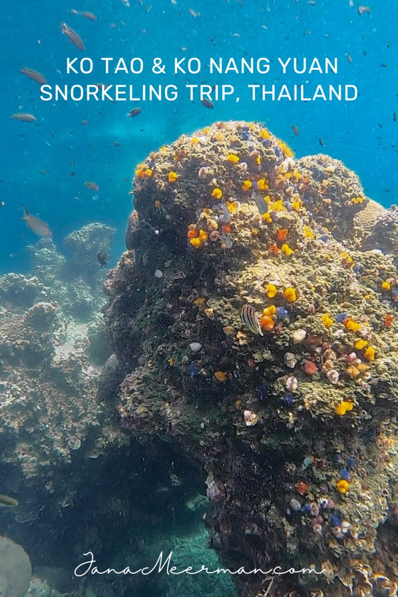 Snorkeling Ko Tao and Ko Nang Yuan, Thailand | Jana Meerman