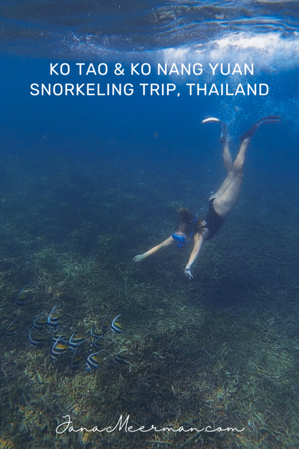 Snorkeling Ko Tao and Ko Nang Yuan, Thailand | Jana Meerman
