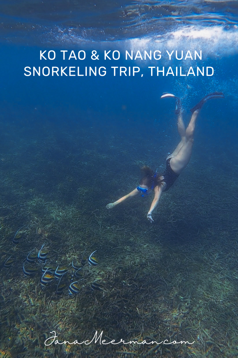 Snorkeling Ko Tao and Ko Nang Yuan, Thailand | Jana Meerman