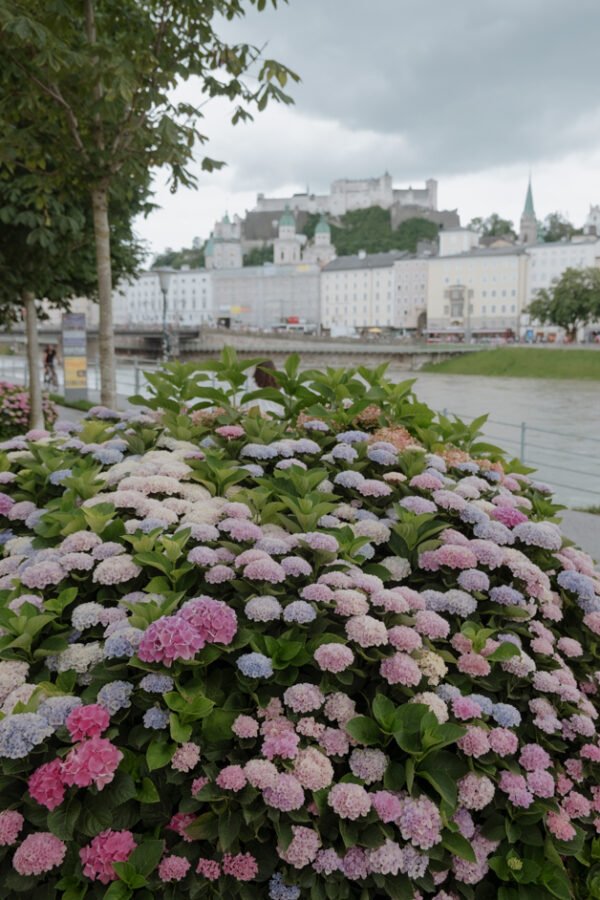 A Summer Guide to Salzburg, Austria | Jana Meerman