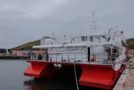 A Complete Guide to Helgoland | Jana Meerman