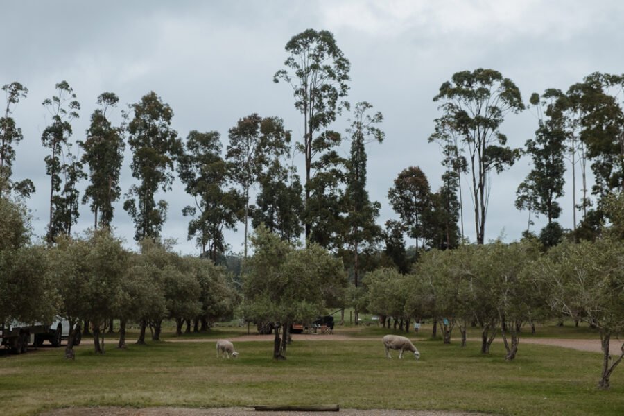 A Complete Guide to Margaret River, Australia | Jana Meerman